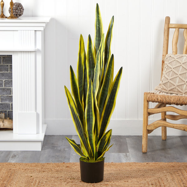 Primrue Faux Snake Plant Tree in Planter & Reviews | Wayfair Primrue Faux Snake Plant Tree in Planter & Reviews | Wayfair